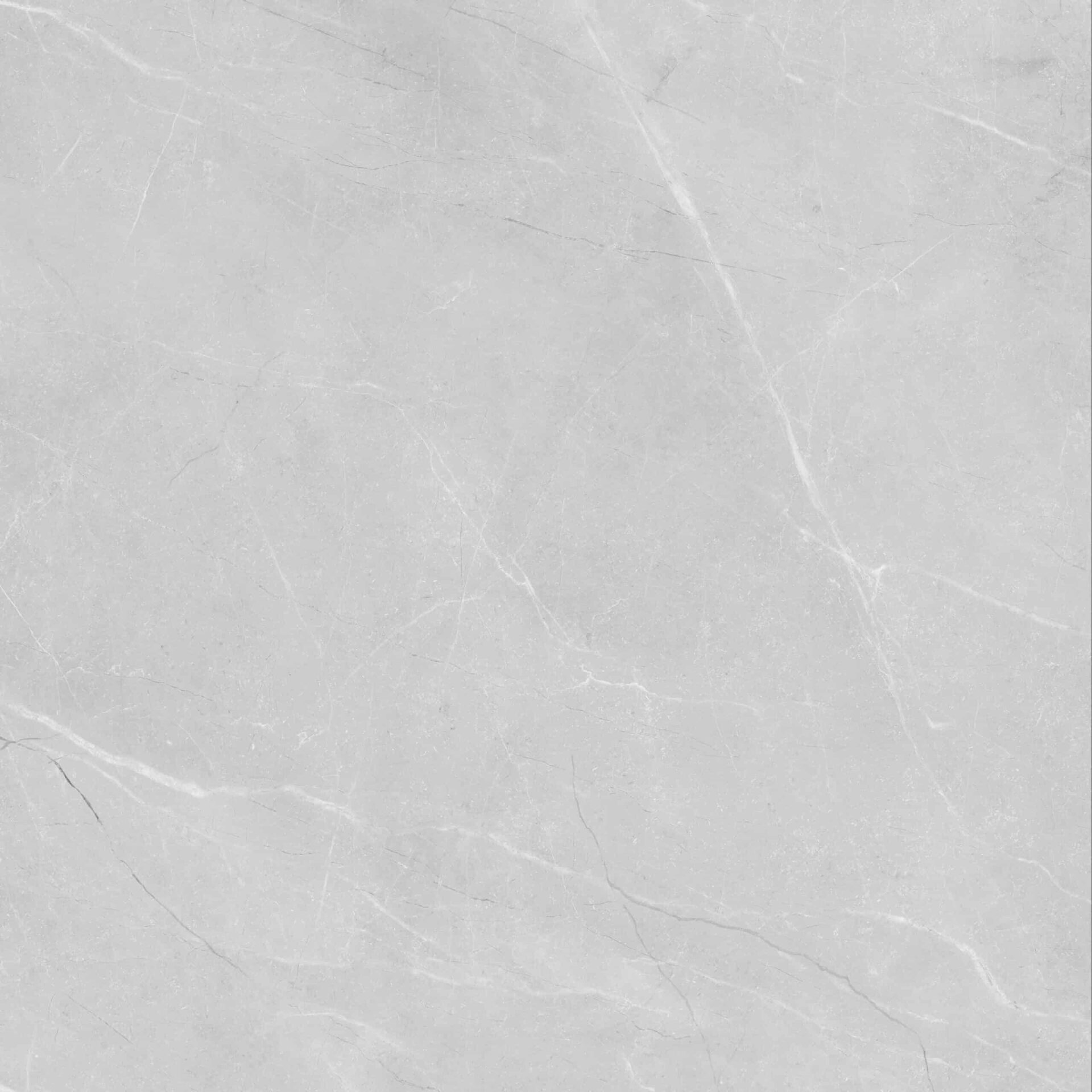 ROYAL ARMANI GREY 60x60 - Lapidus